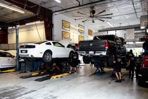 LEE FORD - Updated September 2025 - 31 Photos & 10 Reviews - 4170-C ...