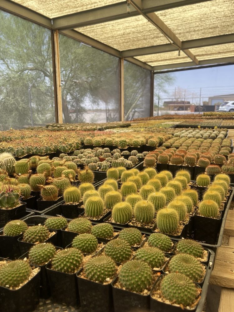 B & B APACHE CACTUS - Updated November 2025 - 13 Photos - 2324 S Idaho ...