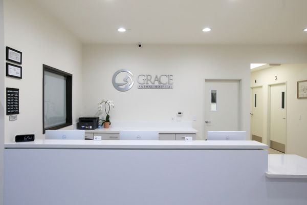 GRACE ANIMAL HOSPITAL - Updated June 2026 - 94 Photos & 92 Reviews ...