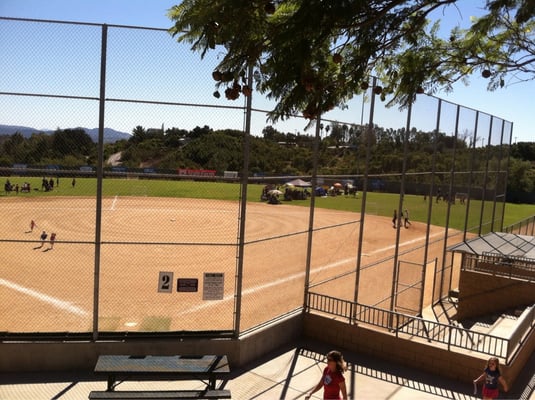 INGOLD SPORTS PARK - Updated November 2025 - 19 Photos - 2551 Olive ...