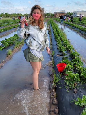 PECAN CREEK STRAWBERRY FARM - TEMP. CLOSED - 66 Photos & 16 Reviews ...