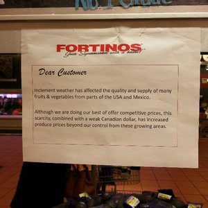 FORTINOS - Updated December 2025 - 20 Photos & 13 Reviews - 1579 Main ...