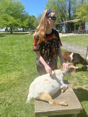 PHILLY GOAT PROJECT - Updated September 2025 - 6336 Ardleigh St ...