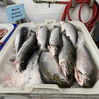 J DELUCA FISH COMPANY - Updated December 2025 - 56 Photos & 17 Reviews ...