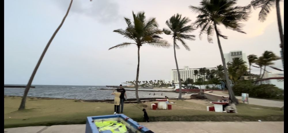 SCUBA DOGS - Updated October 2025 - 36 Photos & 52 Reviews - Calle El ...