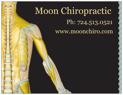 MOON CHIROPRACTIC - Updated December 2025 - 28 Reviews - 995 Beaver ...