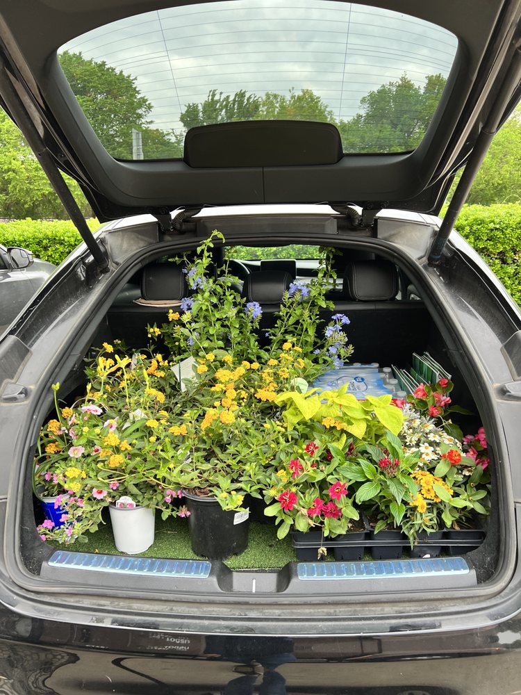 DALLAS TURF GIRL - Updated June 2026 - Grapevine, Texas - Artificial ...
