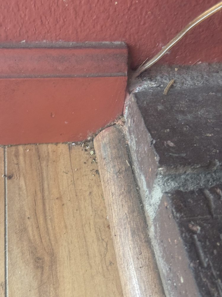 ABSOLUTELY SPOTLESS - Updated February 2026 - 26 Photos & 53 Reviews ...