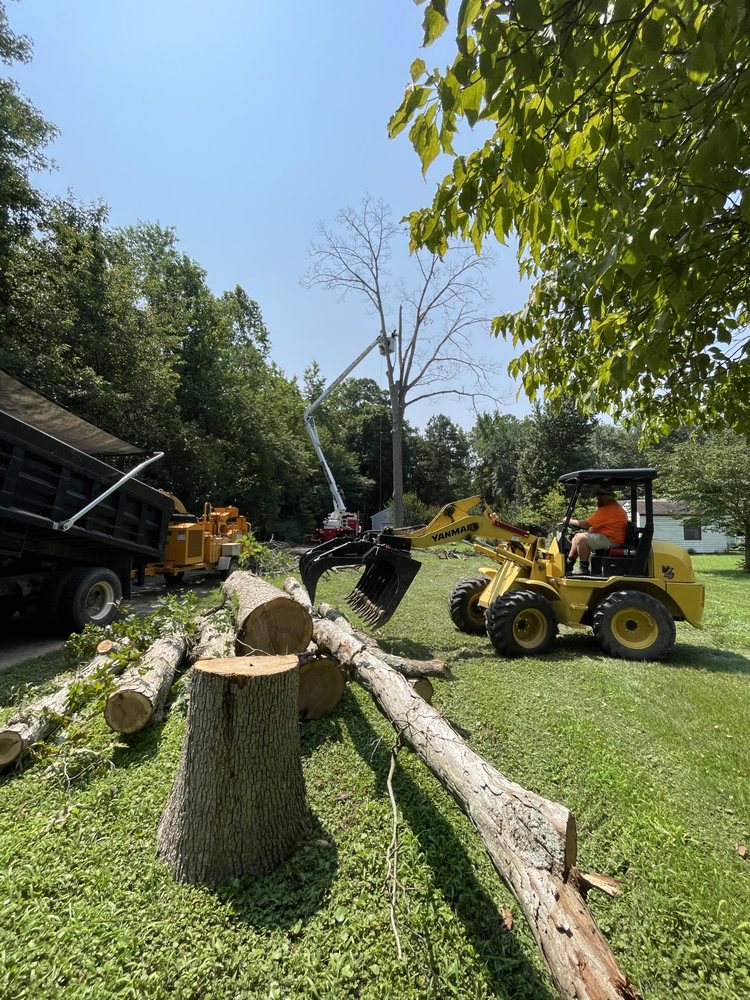 OLD UNION TREE SOLUTIONS - Updated August 2025 - 14 Photos - 3520 ...