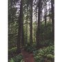 SILVER FALLS STATE PARK - 1402 Photos & 311 Reviews - 20024 Silver ...