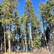 SLY PARK RECREATION AREA | 542 Photos & 174 Reviews | 4771 Sly Park Rd ...