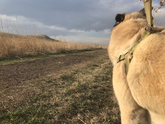 SPIRIT MOUND HISTORIC PRAIRIE - Updated September 2024 - 48 Photos ...