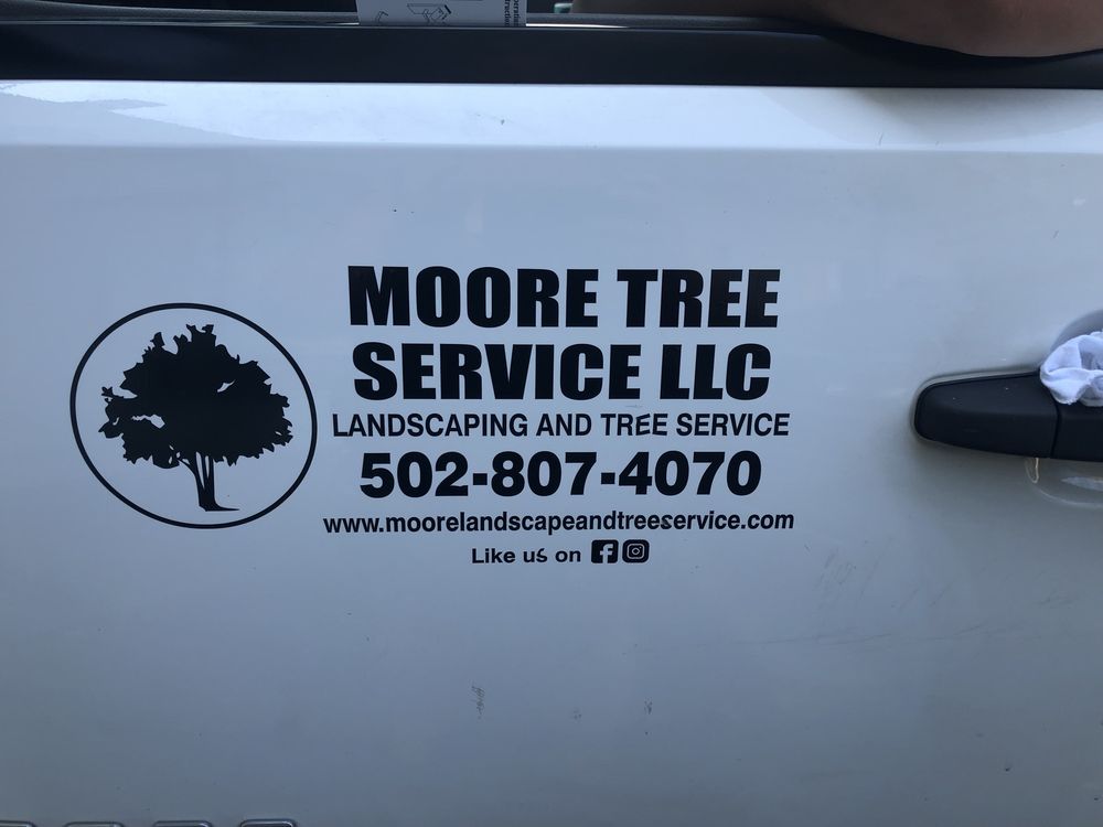 MOORE’S TREE SERVICE - Updated August 2025 - 12 Photos - Louisville ...