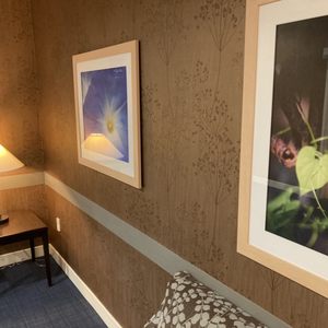 ASCENSION ALL SAINTS HOSPITAL SPRING STREET CAMPUS - Updated January ...