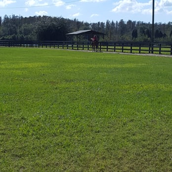 AVALON STABLES - Updated January 2026 - 44 Photos - 18029 Lake ...