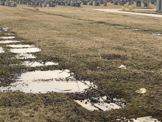 SS. PETER AND PAUL CEMETERY - Updated October 2025 - 15 Photos & 30 ...