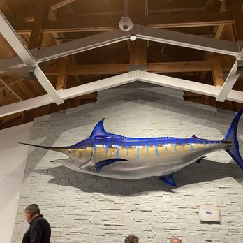 THE GRAND MARLIN - PANAMA CITY BEACH - Updated July 2024 - 964 Photos ...