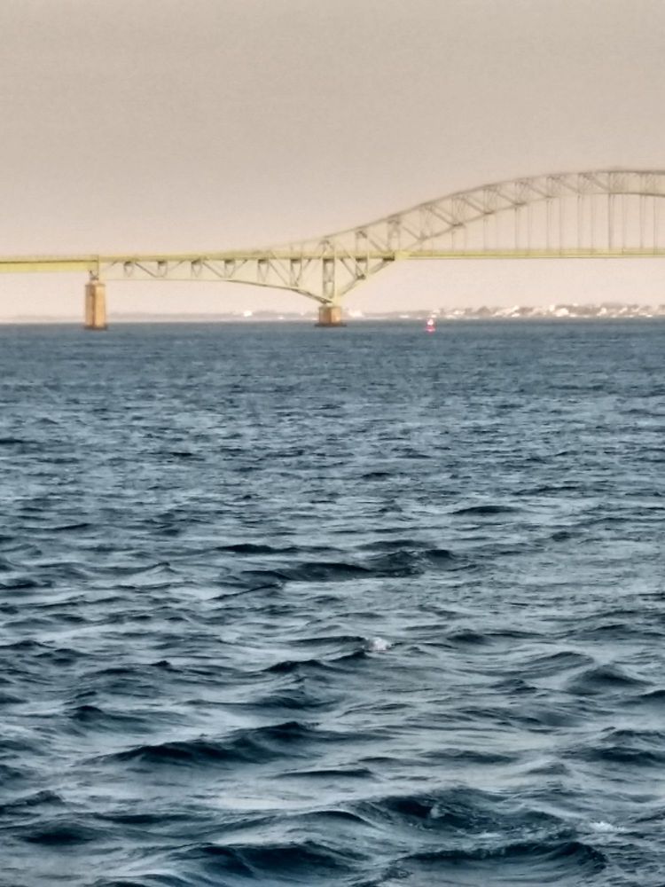 CAPTREE PRIDE - 20 Photos & 24 Reviews - 3500 Ocean Pkwy E, Bay Shore ...