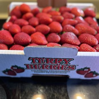 TERRY BERRIES - Updated May 2025 - 26 Photos & 47 Reviews - 7618 ...