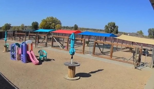 FOREVER FAITHFUL FRIENDS DOGGY RESORT AND DAYCARE - Updated December ...