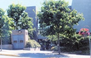 EDMONDS LIBRARY - Updated October 2025 - 69 Photos & 27 Reviews - 650 ...