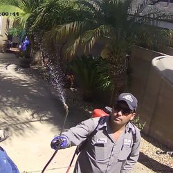 PRO PACIFIC PEST CONTROL - 210 Photos & 242 Reviews - Pest Control ...