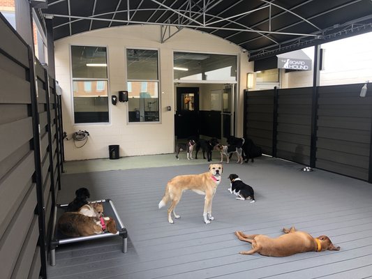 THE BOARD HOUND - Updated September 2025 - 17 Photos - 133 S Peyton St ...