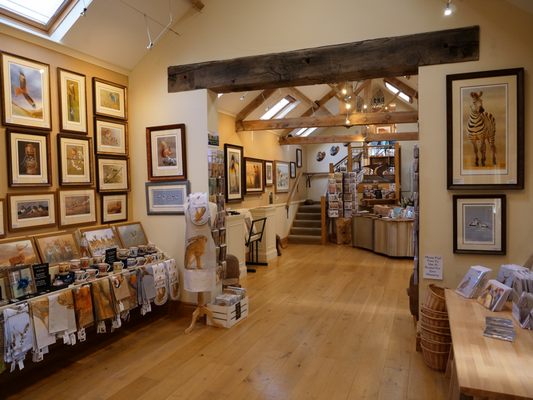 THE ROBERT FULLER GALLERY - Fotherdale Farm, Malton, East Riding of ...