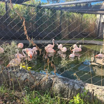 ROGER WILLIAMS PARK ZOO - Updated July 2025 - 1339 Photos & 308 Reviews ...