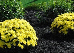 GREENCYCLE OF INDIANA - Updated December 2025 - 11 Reviews - 1103 W ...