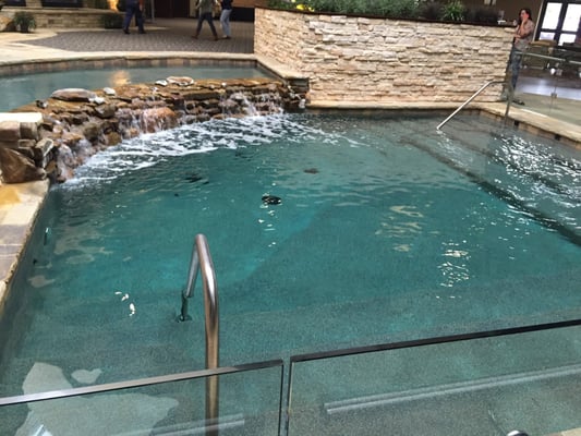 BENT TREE BIBLE | CARROLLTON - Updated December 2025 - 18 Photos & 22 ...