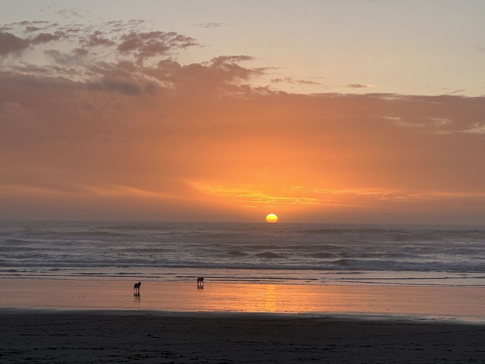 NEHALEM BAY STATE PARK - Updated October 2025 - 100 Photos & 76 Reviews ...
