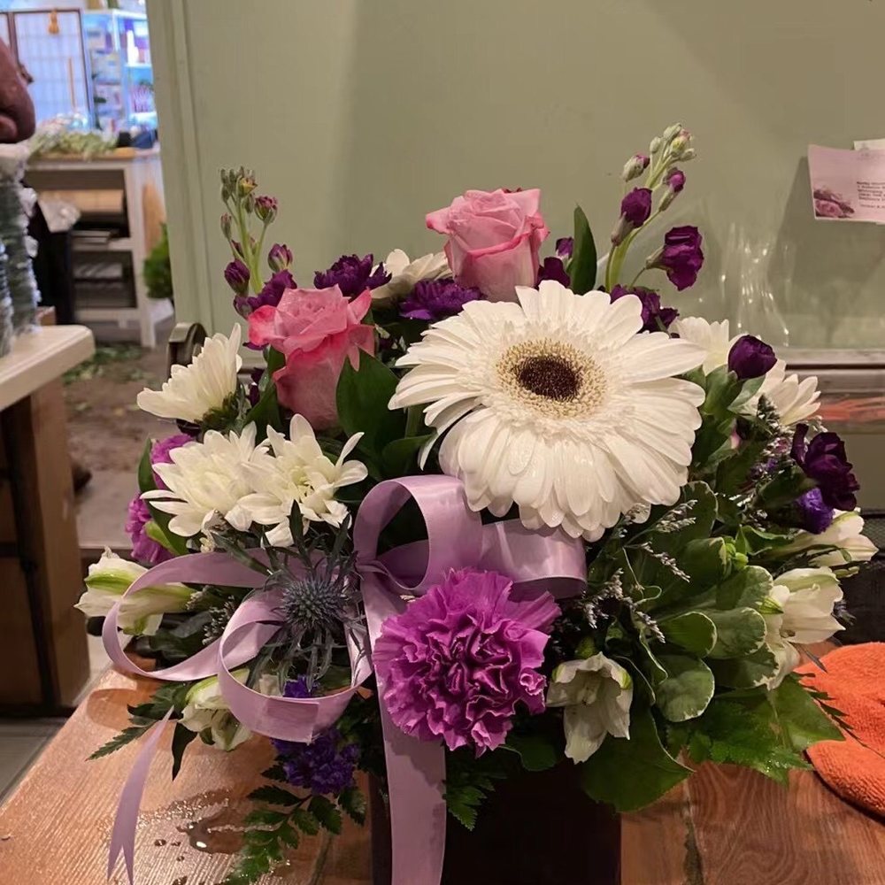 Flowers Portage Place Winnipeg | Best Flower Site