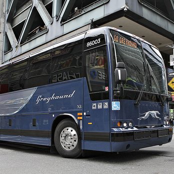 GREYHOUND PACKAGE EXPRESS - Updated June 2024 - 20 Photos & 12 Reviews ...