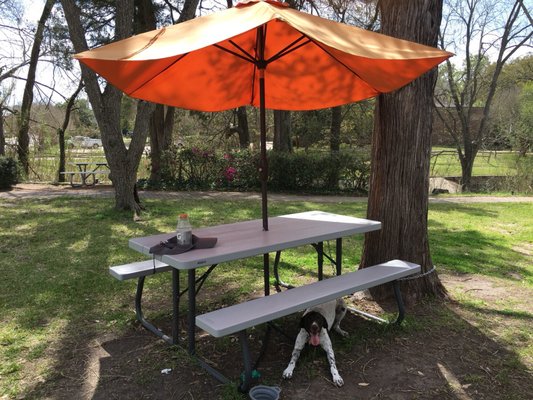 TACO MANIA - Updated December 2025 - 24 Photos & 22 Reviews - 1110 ...