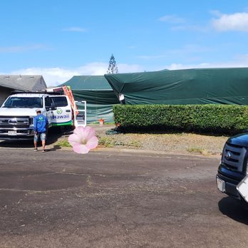 PEST TECH HAWAII - Updated August 2025 - 84 Photos & 123 Reviews ...