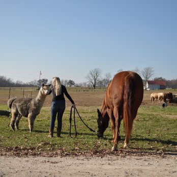 WILD ROSE EQUESTRIAN CENTER - Updated October 2025 - 589 Franklin Ln ...
