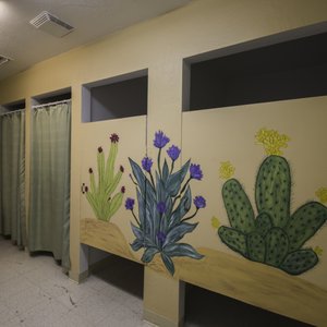 HAPPY JACK LODGE & RV - Updated October 2025 - 75 Photos & 81 Reviews ...