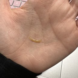 BURLINGTON JADE - Updated July 2025 - 41 Photos & 105 Reviews - 271 ...