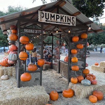 ROWELL RANCH RODEO - Updated July 2025 - 52 Photos & 12 Reviews - 9725 ...