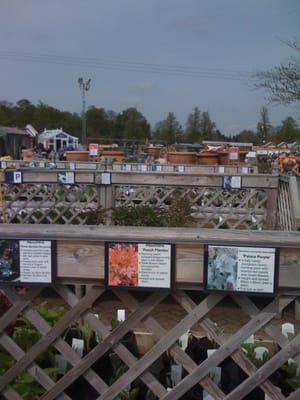 VAN HAGE & CO HOLDINGS - Updated July 2025 - 26 Photos - Amwell Hill ...