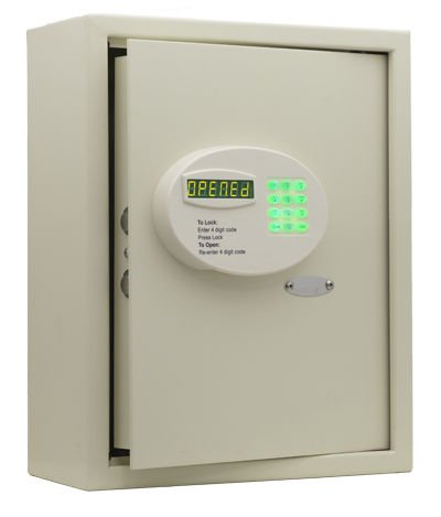 GLOBAL SAFE CORPORATION - Updated January 2025 - 7050 W Palmetto Park ...