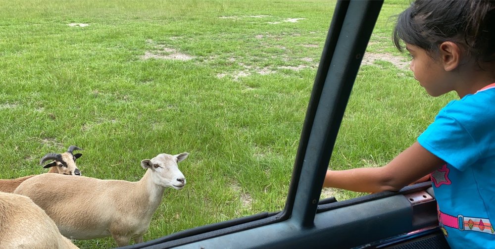 MOSLEY’S WORLD FAMOUS ‘ANIMAL EXIT’ FARM - Updated December 2025 - 26 ...