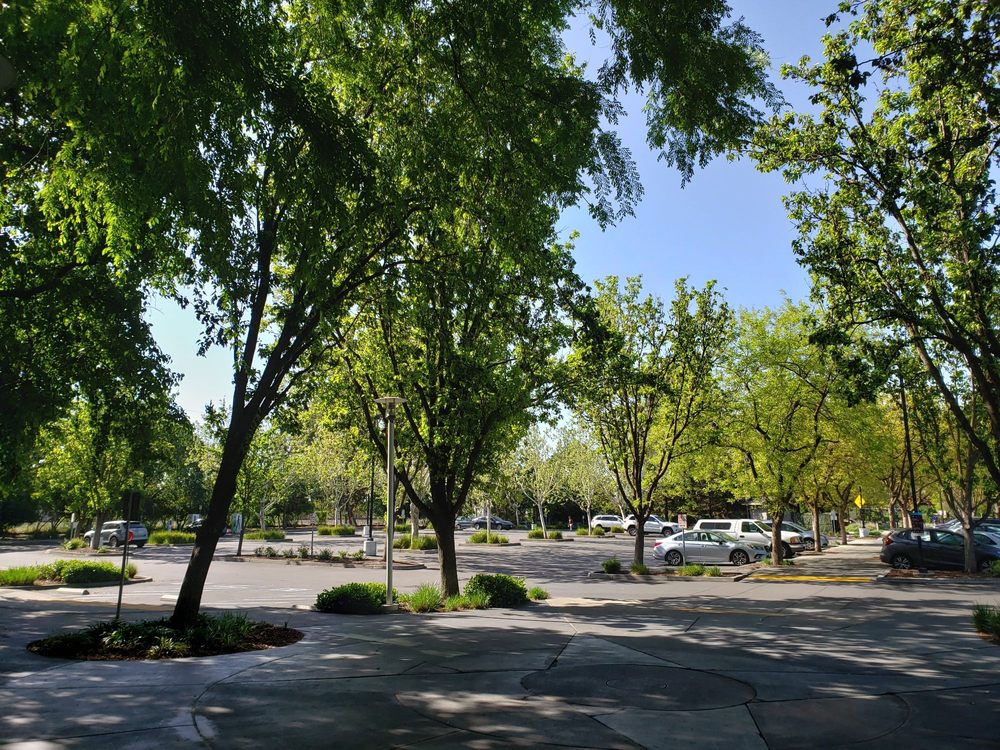 DAVIS COMMONS LOT - Updated October 2025 - 66 Photos - 500 1st St ...