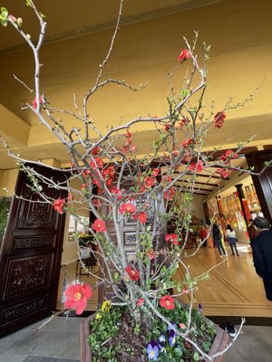 KIM QUANG TEMPLE - Updated March 2026 - 153 Photos & 16 Reviews - 3119 ...