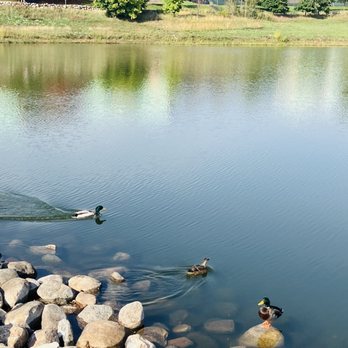 HENNEPIN COUNTY LIBRARY - MAPLE GROVE LIBRARY - Updated October 2025 ...