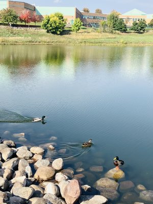 HENNEPIN COUNTY LIBRARY - MAPLE GROVE LIBRARY - Updated October 2025 ...