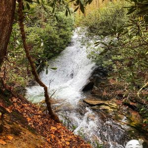 FALL BRANCH FALLS - Updated August 2025 - 80 Photos & 35 Reviews - 3000 ...