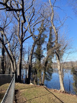 LAKE ELMDALE - 22 Photos - 1225 Lake Rd, Elm Springs, AR - Yelp