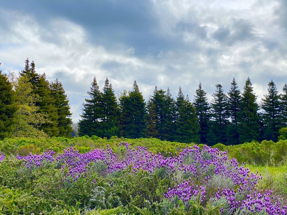 BIO-RAD LABORATORIES - 1000 Alfred Nobel Dr, Hercules, California ...